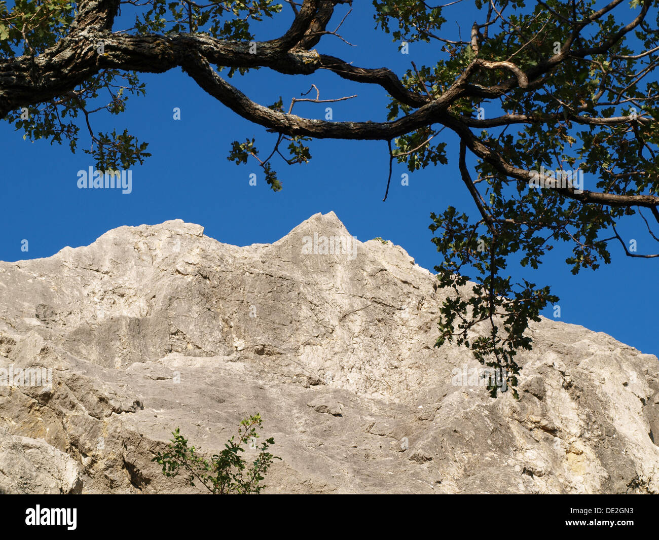 mountain landscape view with trees and rocks Stock Photo - Alamy