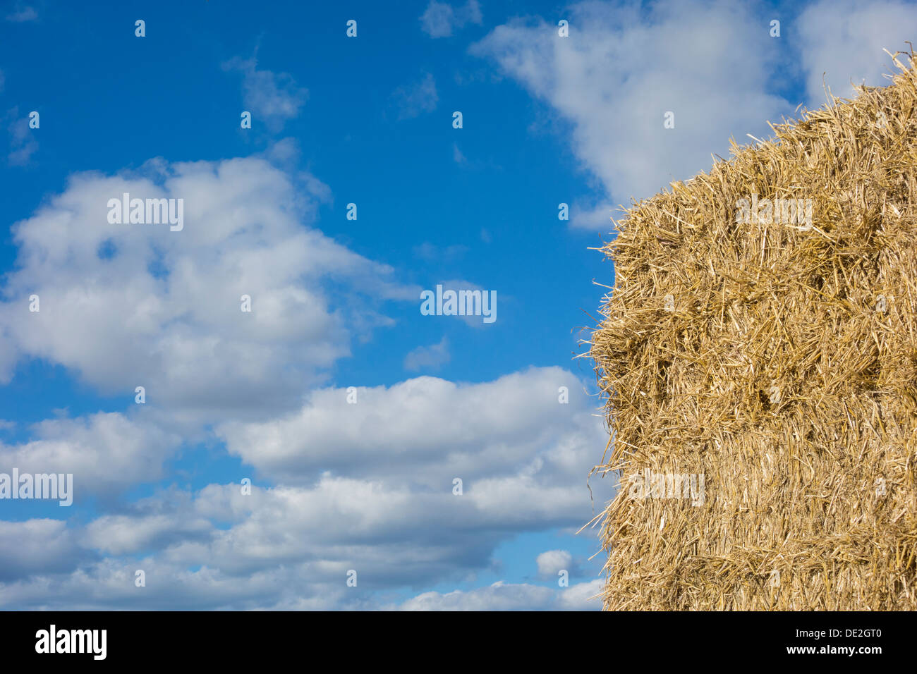 Square hay bale hi-res stock photography and images - Alamy