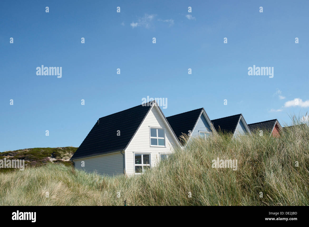 Summer cottages, several coloured wooden houses in the dunes, Hörnum ...