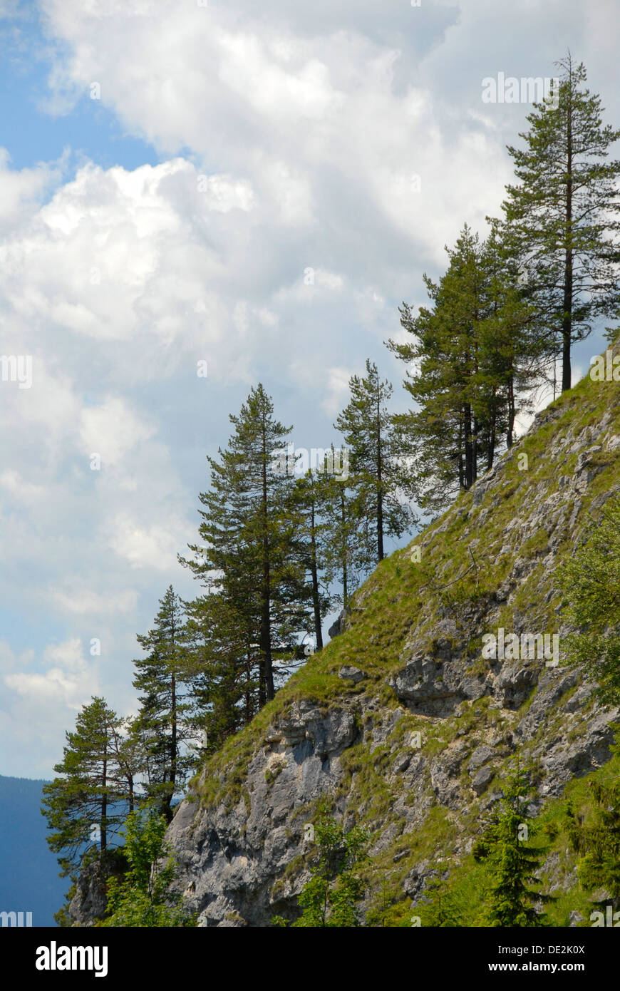 Scattered photos hi-res stock photography and images - Alamy