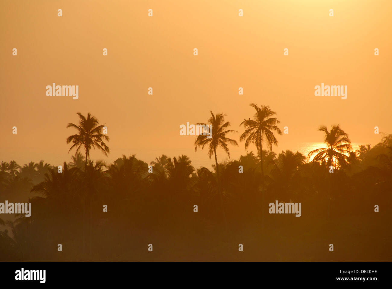 Sunrise above coconut trees, Talalla at Dondra, Indian Ocean, Ceylon ...