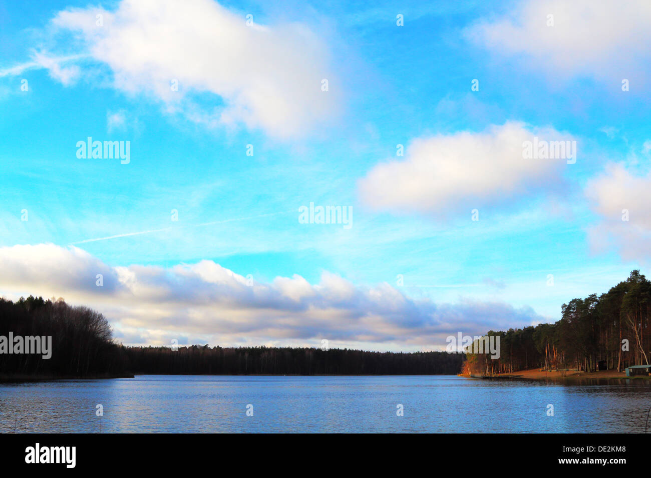 Lake in forrest Stock Photo - Alamy