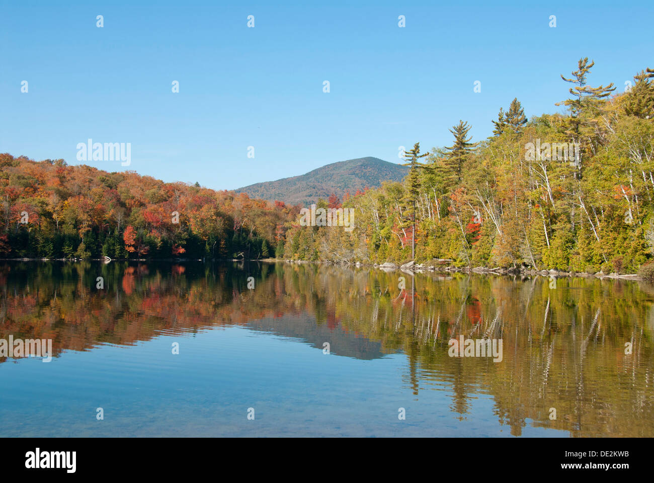 Adirondacks treeline hi-res stock photography and images - Alamy