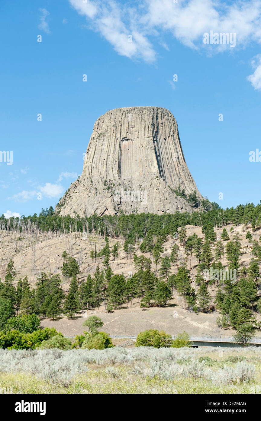 Monolith, phonolite volcanic rock, basalt, light forest of Ponderosa ...