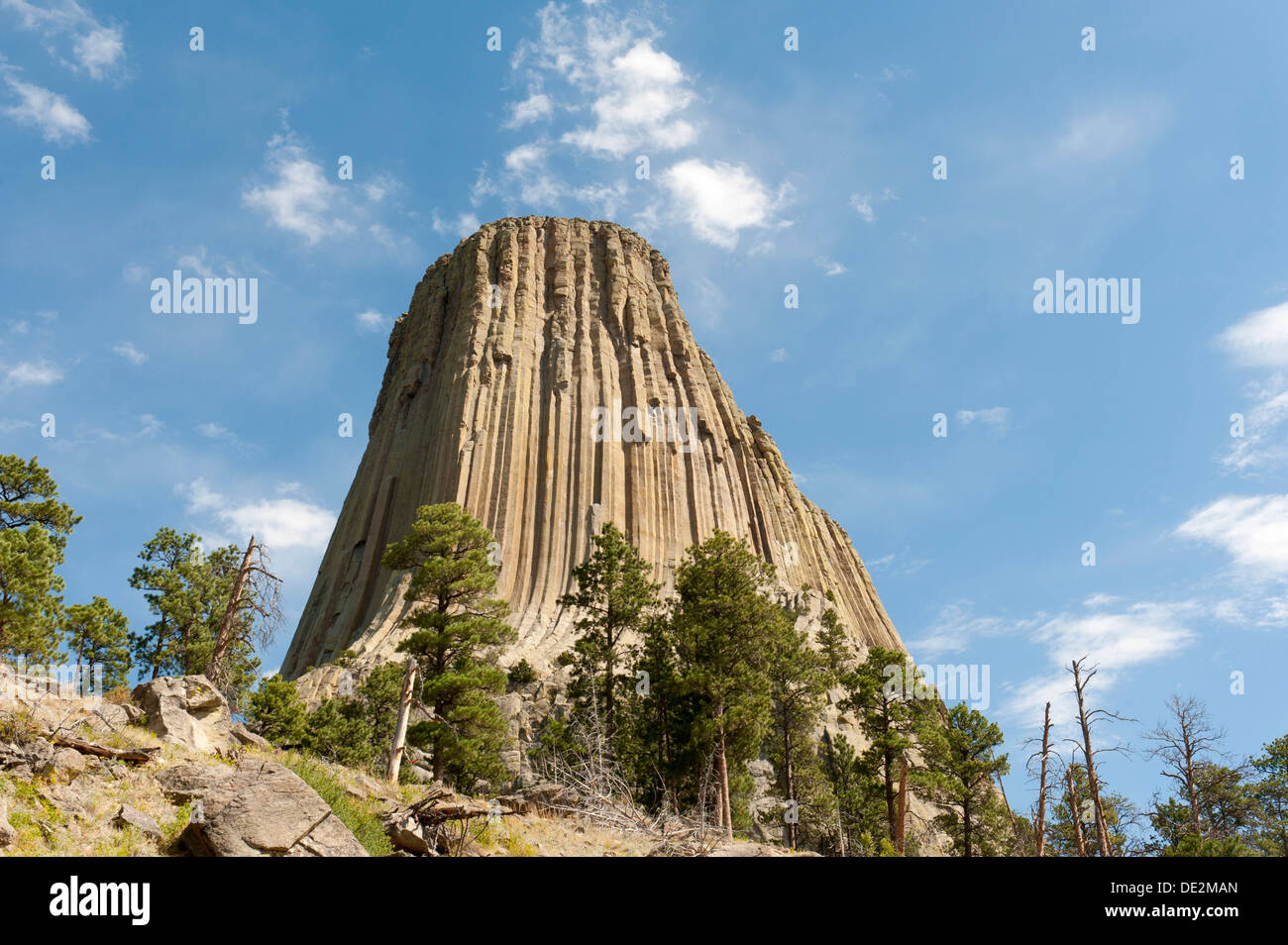 Monolith, phonolite volcanic rock, basalt, light forest of Ponderosa ...
