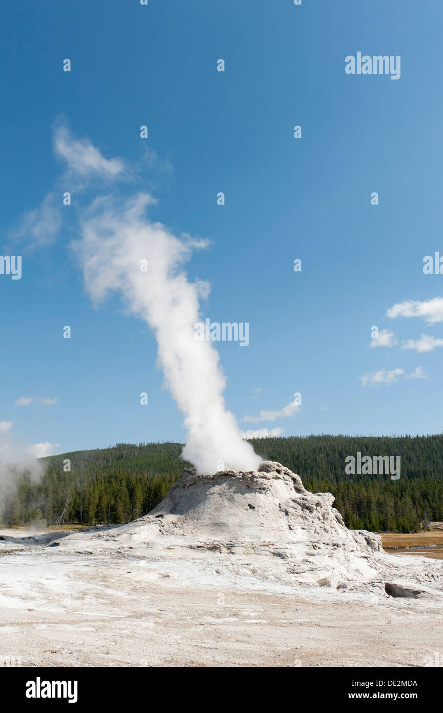 Hot spring with a cone geyser, steam column, water vapor, Castle Geyser ...