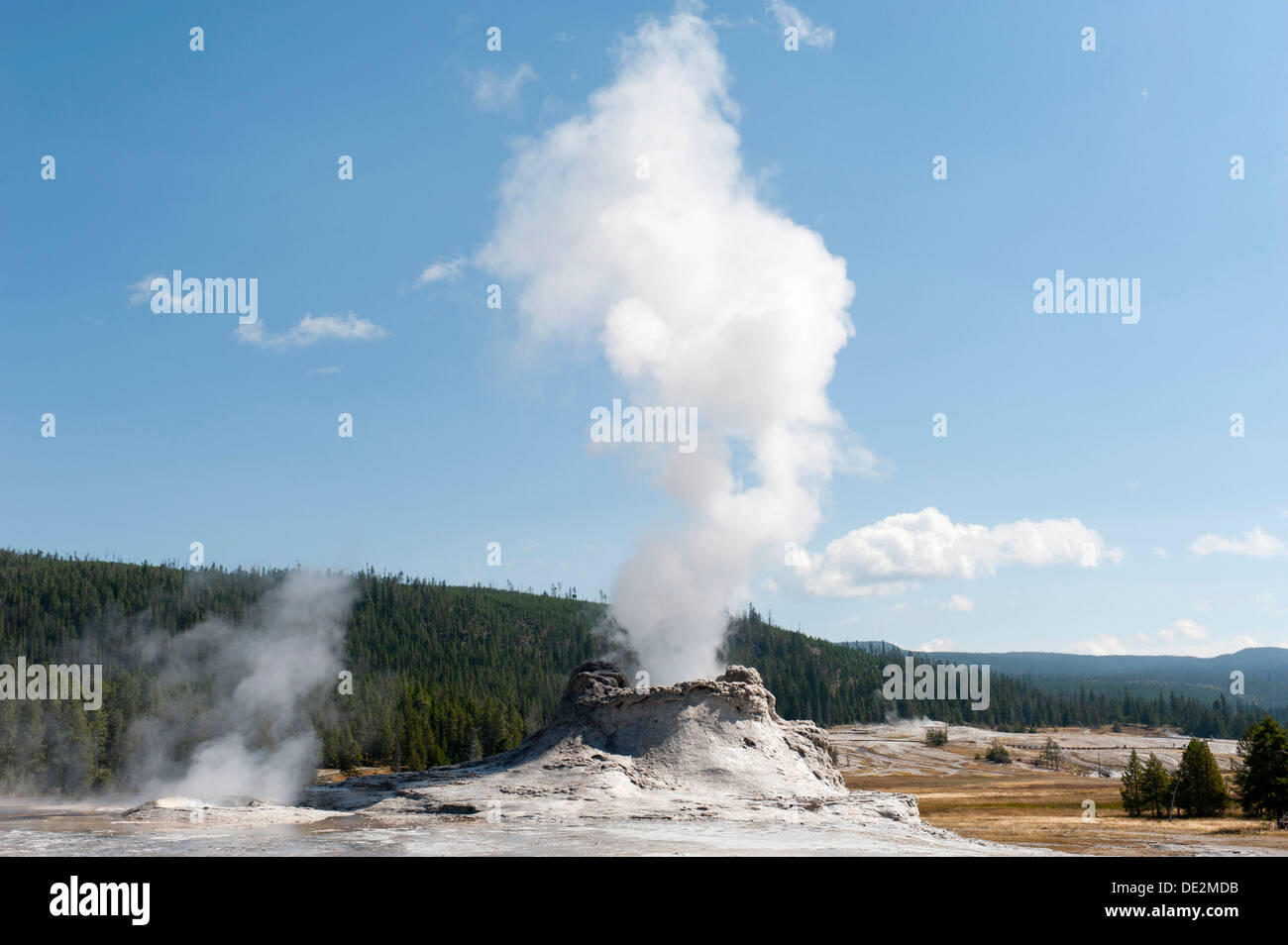 Hot spring with a cone geyser, steam column, water vapor, Castle Geyser ...