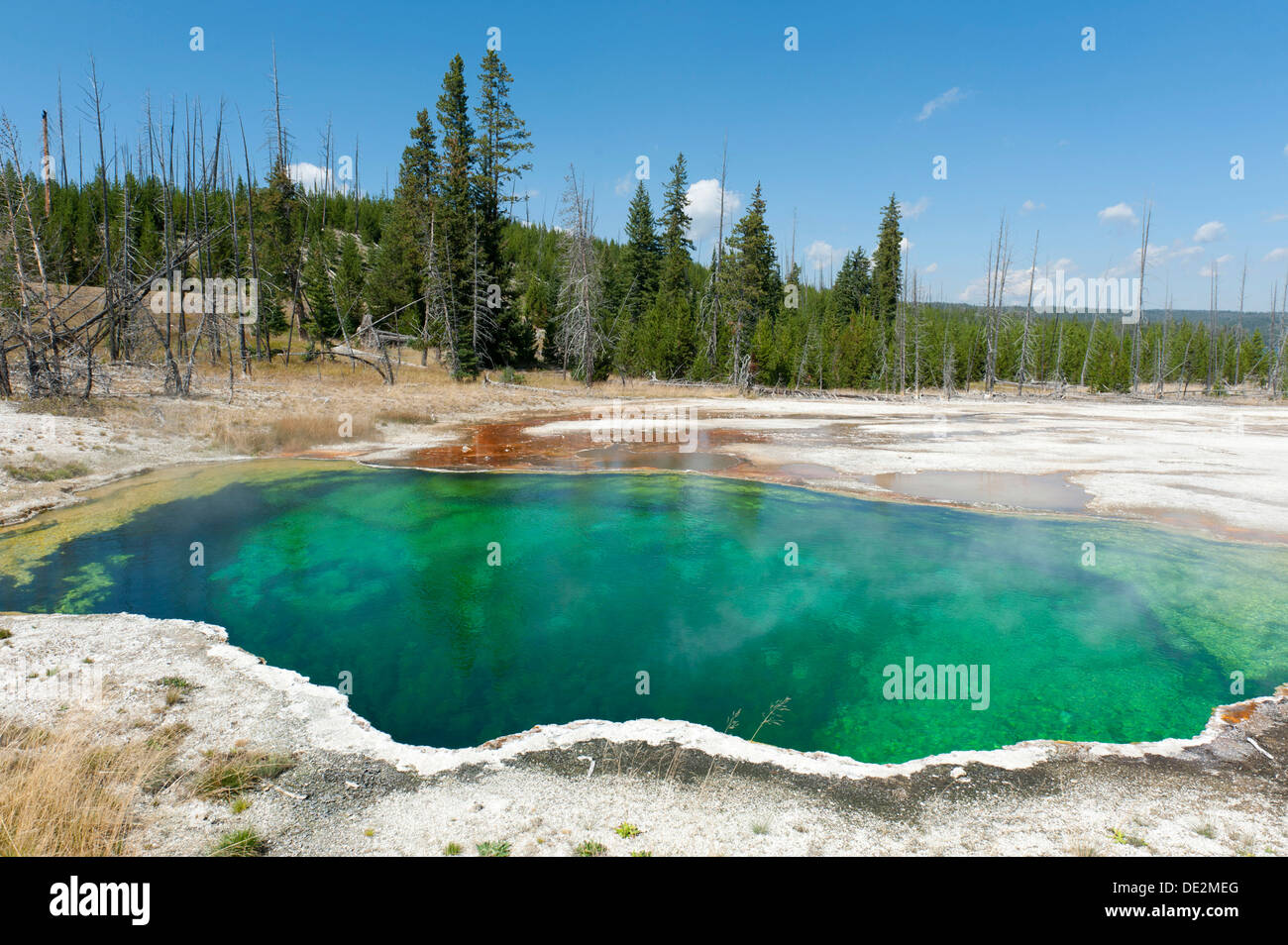 Hot spring with green water, Abyss Pool, West Thumb Geyser Basin ...