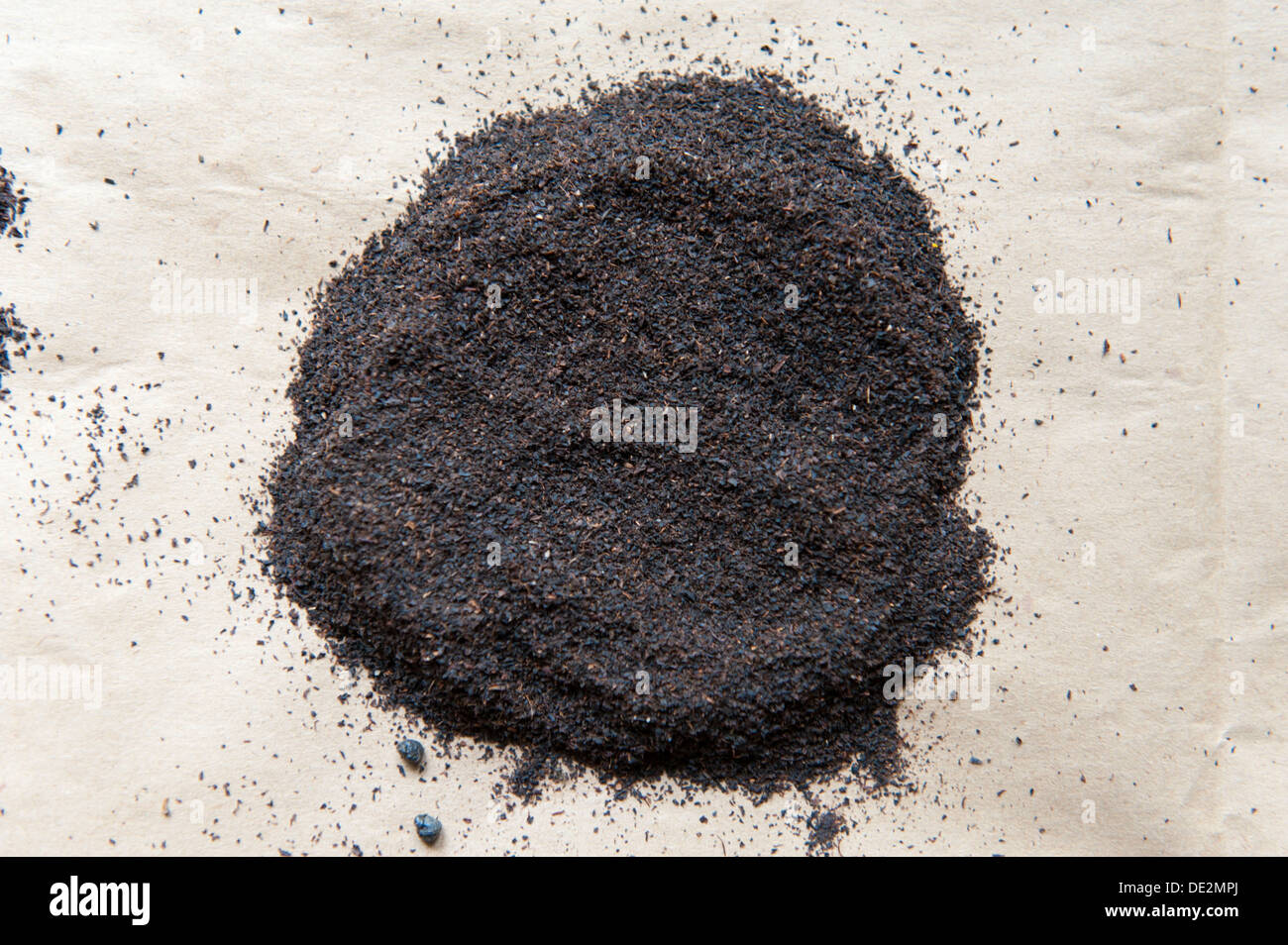 Black Tea, Dust, Ceylon, Gampola, Kandy Distrikt, Zentralprovinz, Sri ...