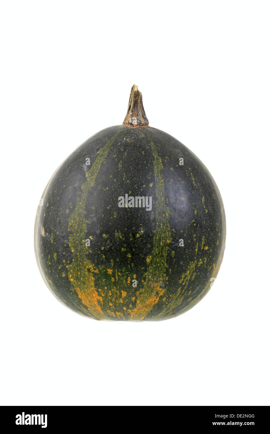 Green ornamental gourd, smooth Stock Photo - Alamy