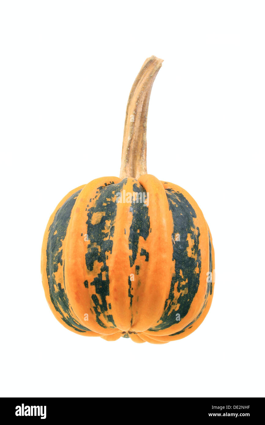 Pandanas hi-res stock photography and images - Alamy