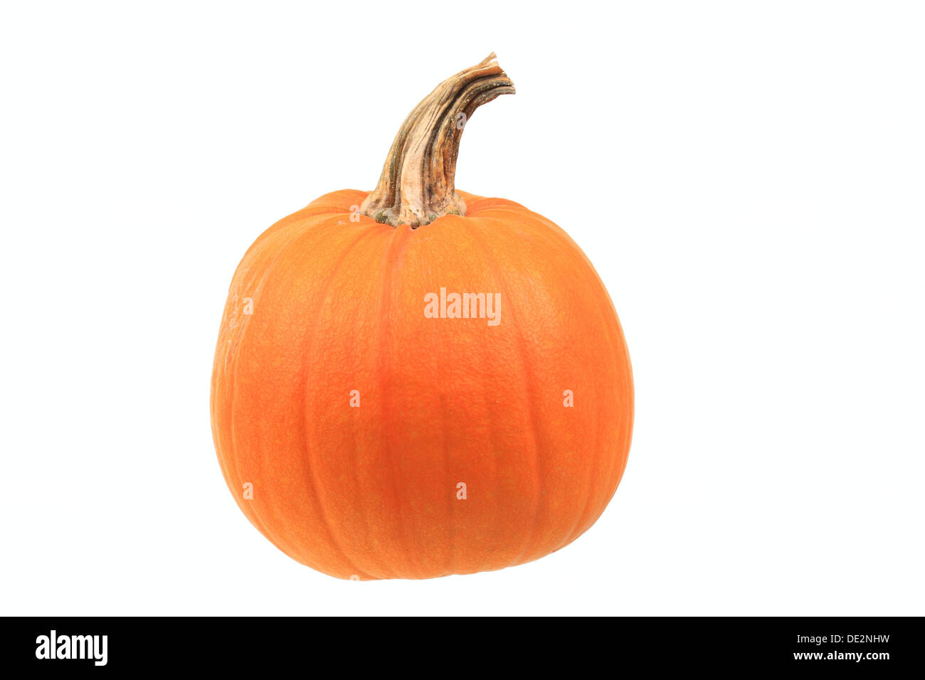 Peek a Cut Out Stock Images & Pictures - Alamy