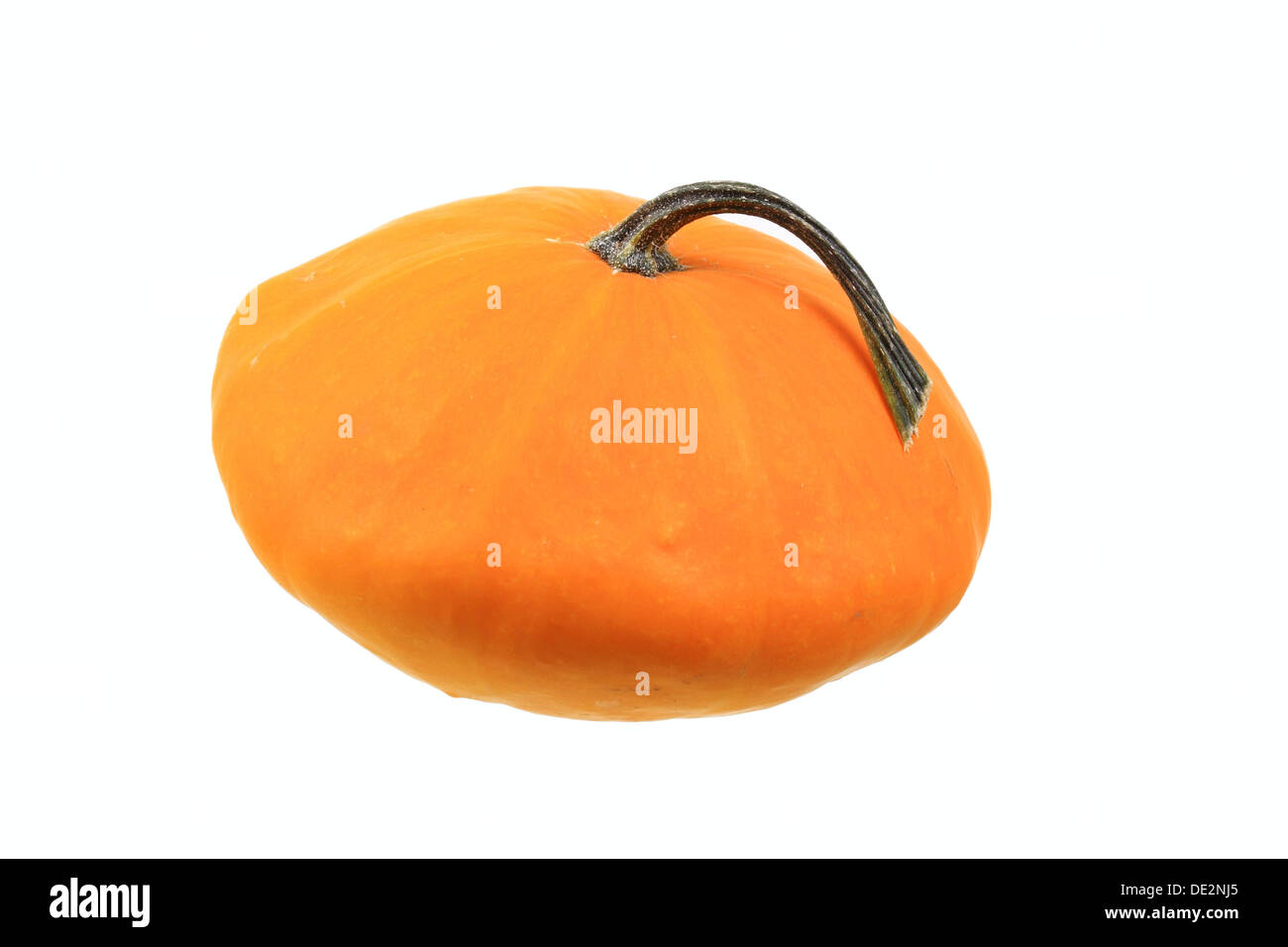 Pattypan squash sunburst hi-res stock photography and images - Alamy