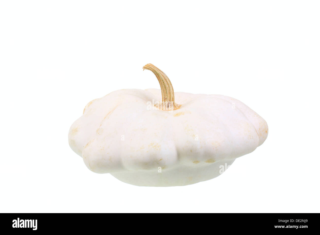 Pattypan squash sunburst hi-res stock photography and images - Alamy