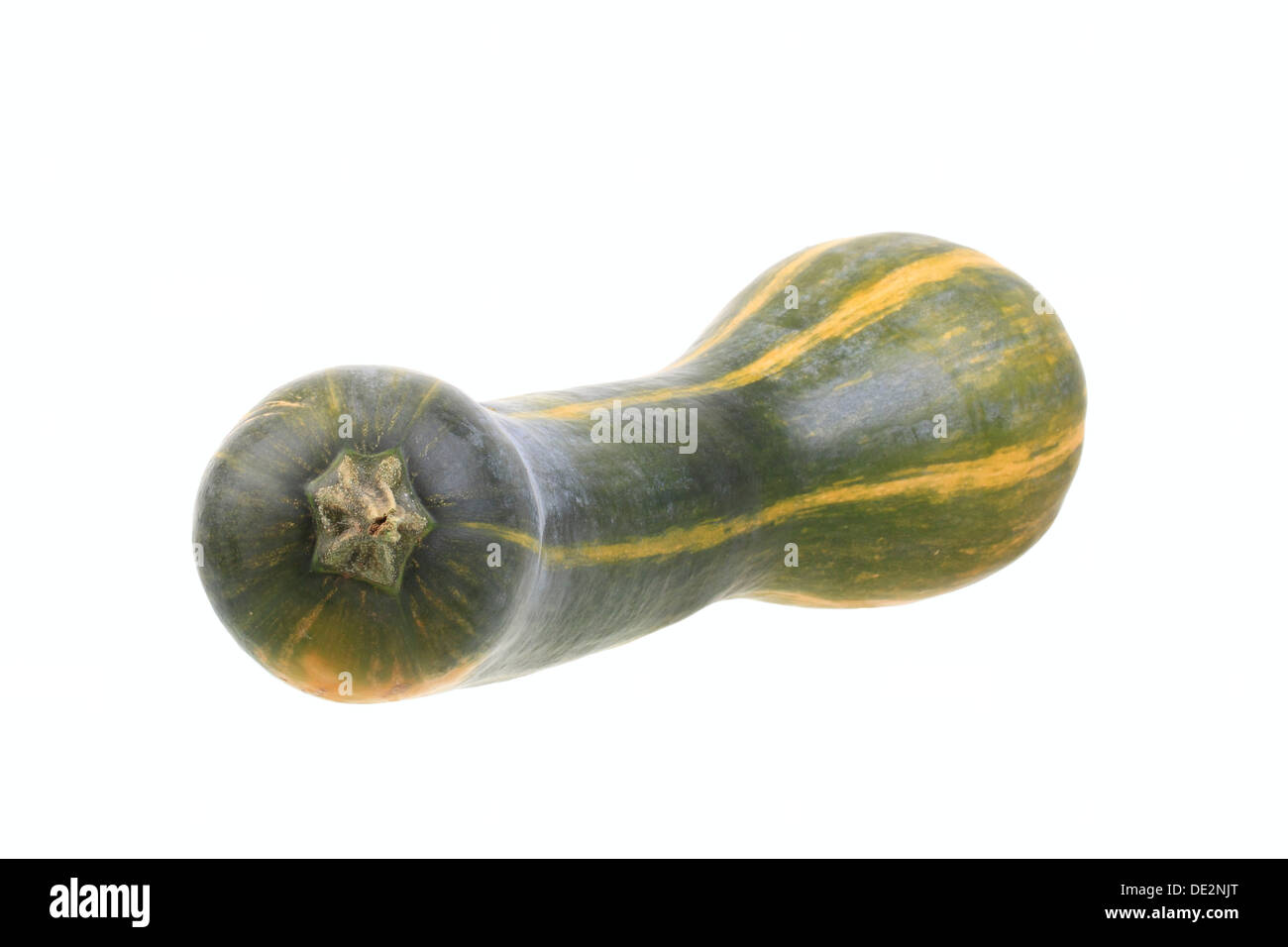 Nice long squash hi-res stock photography and images - Alamy