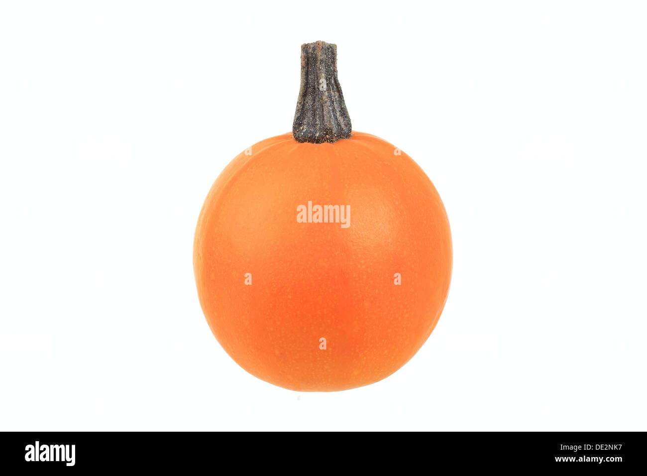 Orange gourd, smooth Stock Photo - Alamy