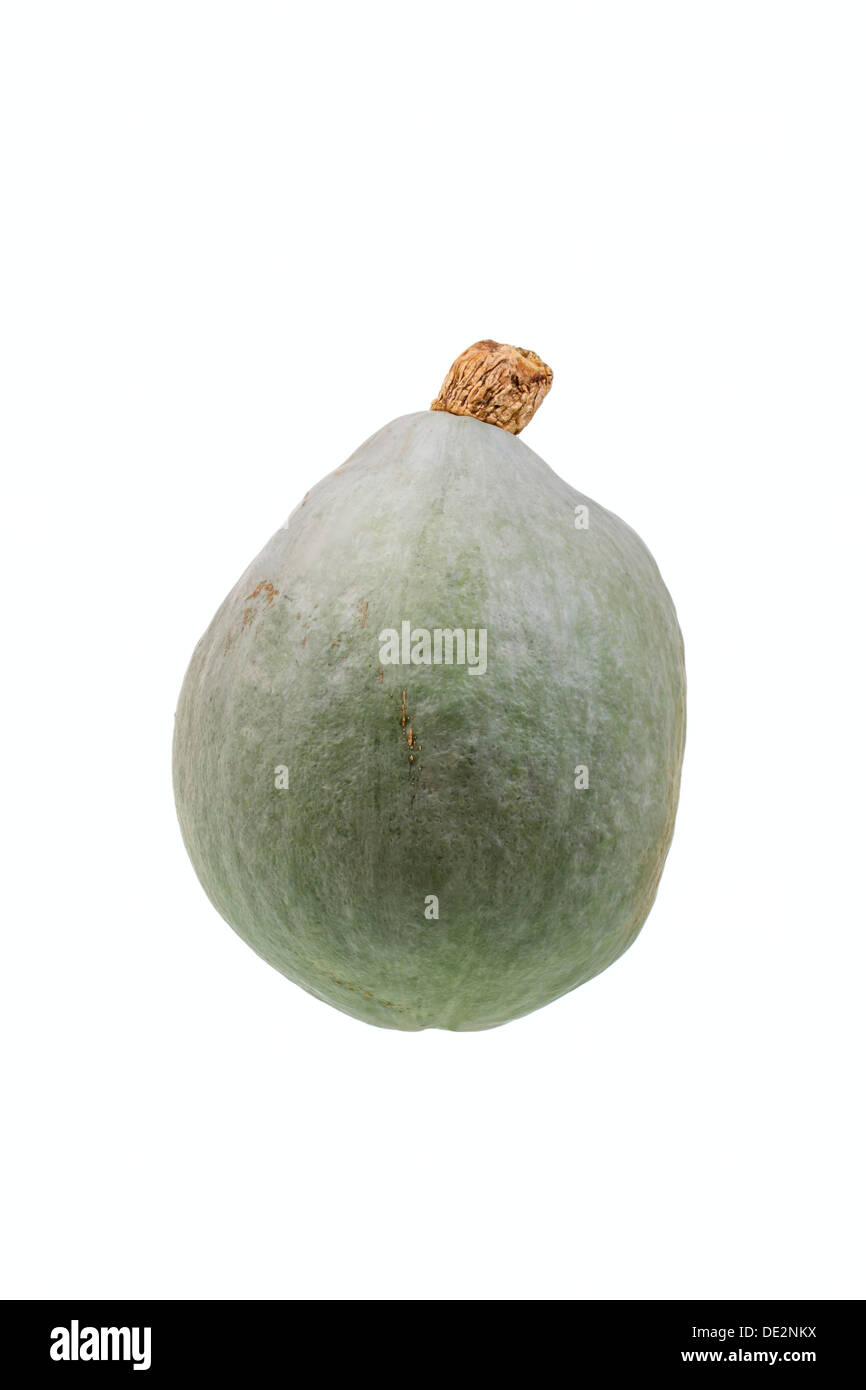 Squash hubbard blue ballet variety hi-res stock photography and images ...