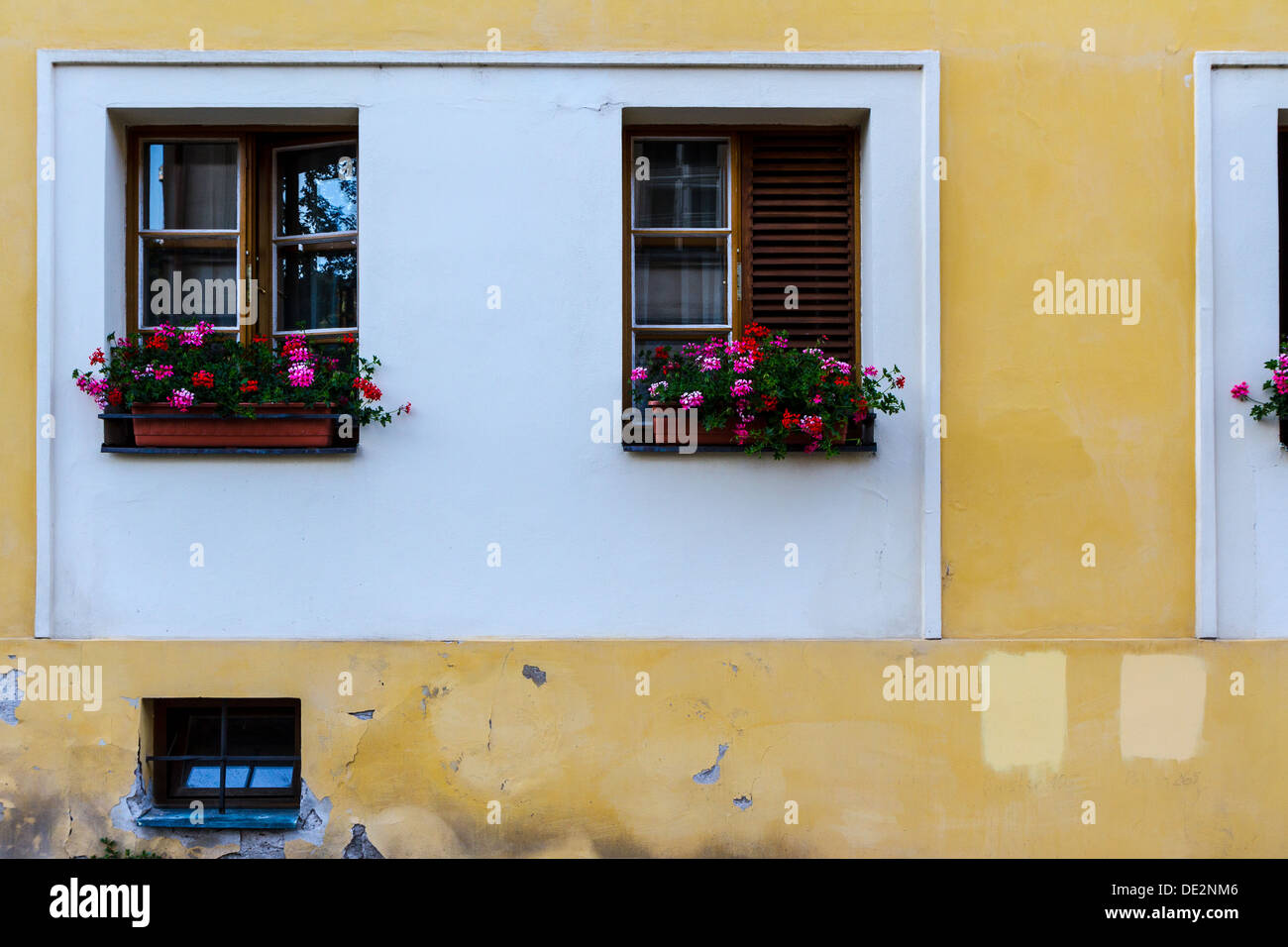 Old wooden windows with flowers against white and yellow wall Stock ...