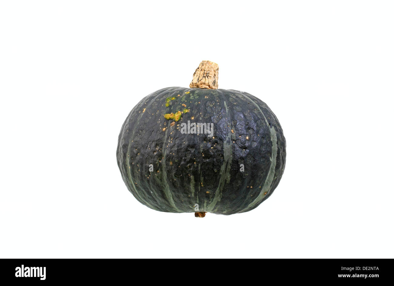 Asian squash hi-res stock photography and images - Alamy