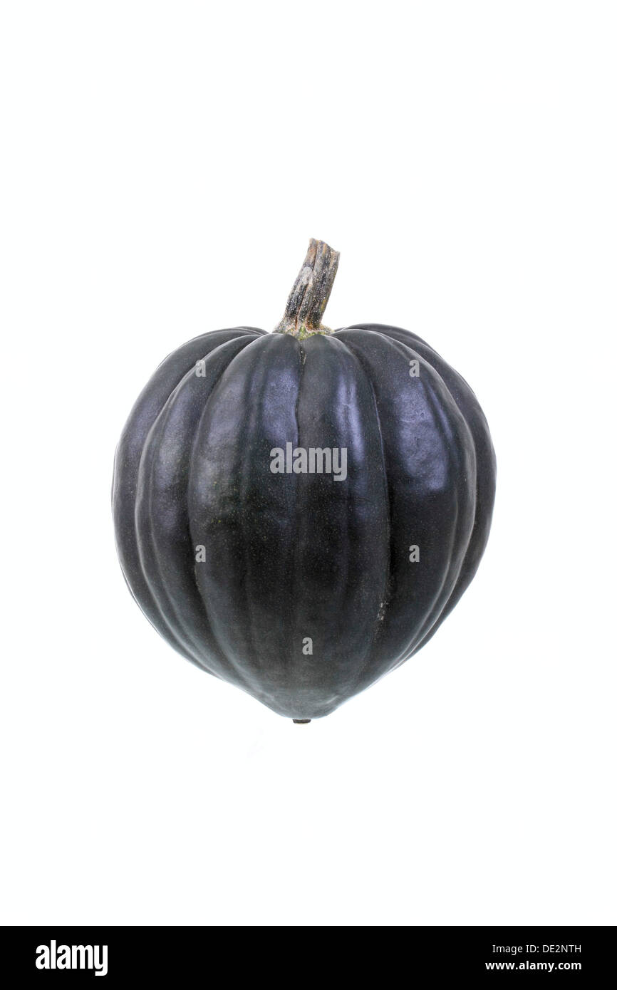 Queen variety hi-res stock photography and images - Alamy