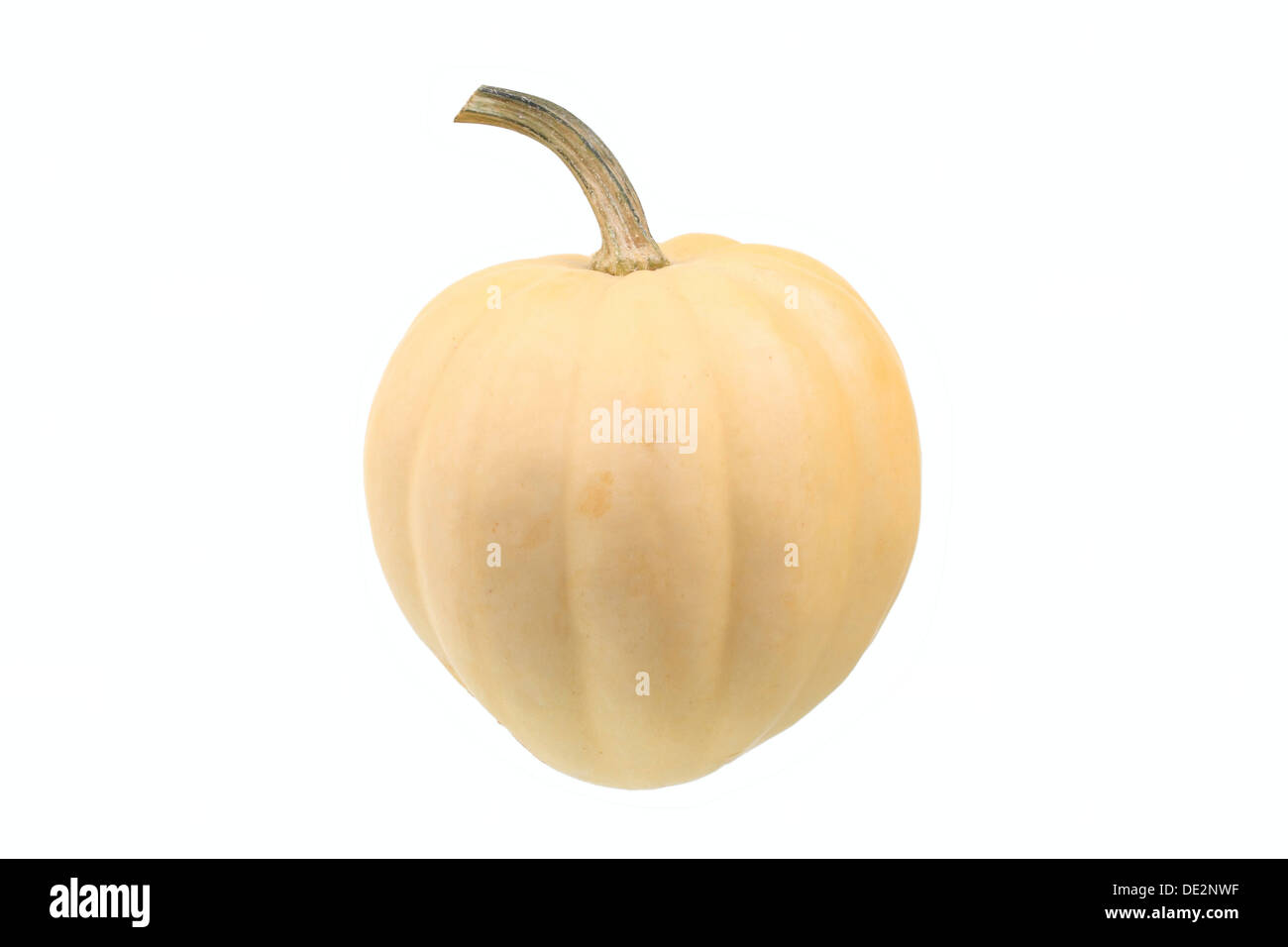 Squash cream hi-res stock photography and images - Alamy