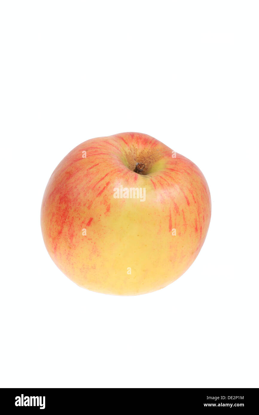 Lohrer Cut Out Stock Images & Pictures - Alamy