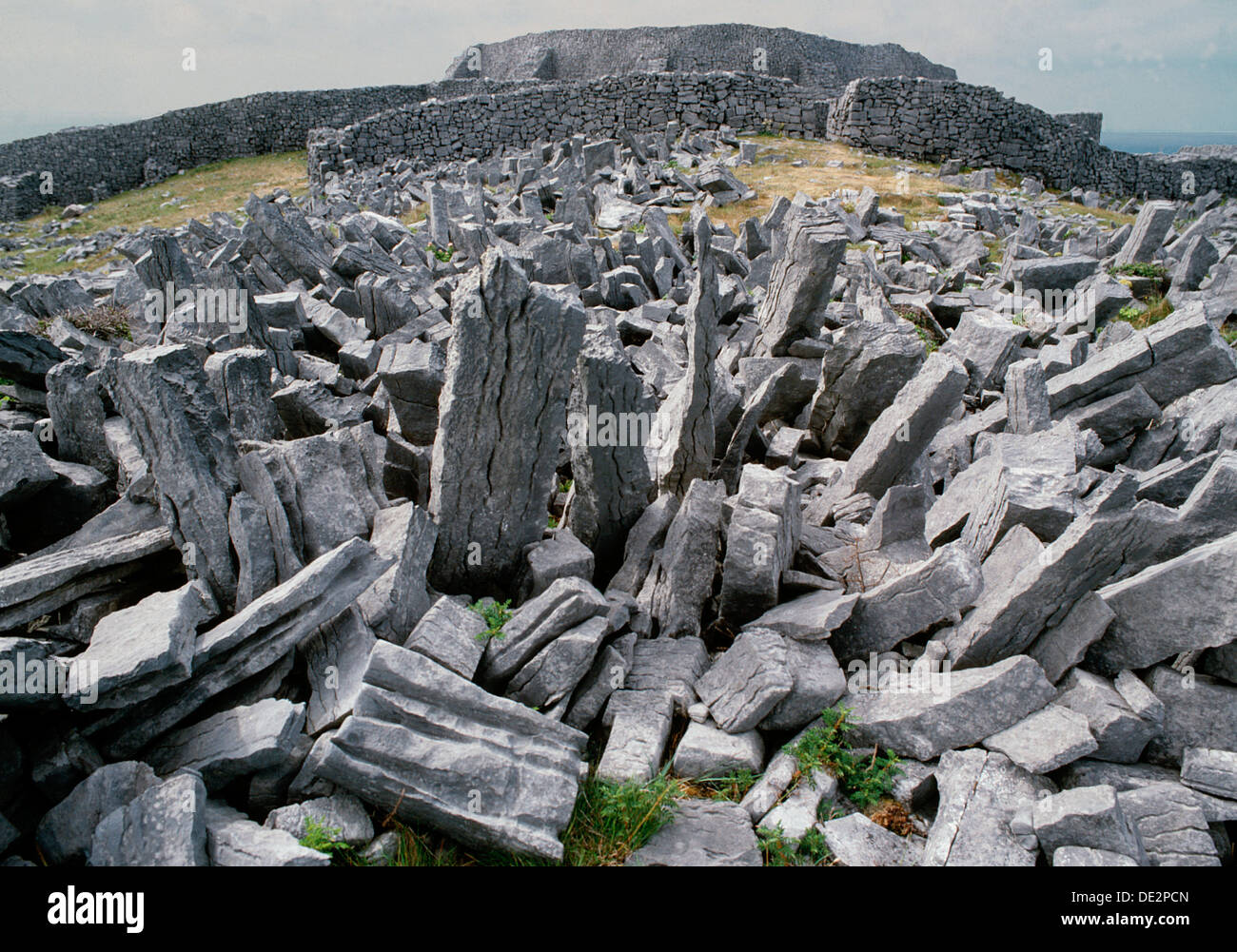 Aengus myth hi-res stock photography and images - Alamy
