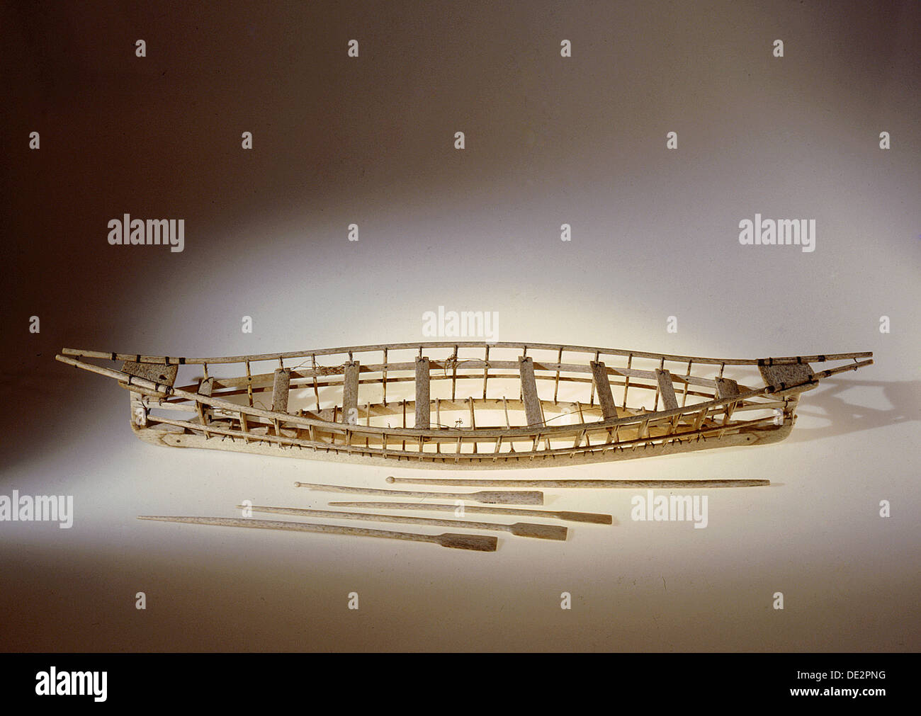 Sinew High Resolution Stock Photography and Images - Alamy