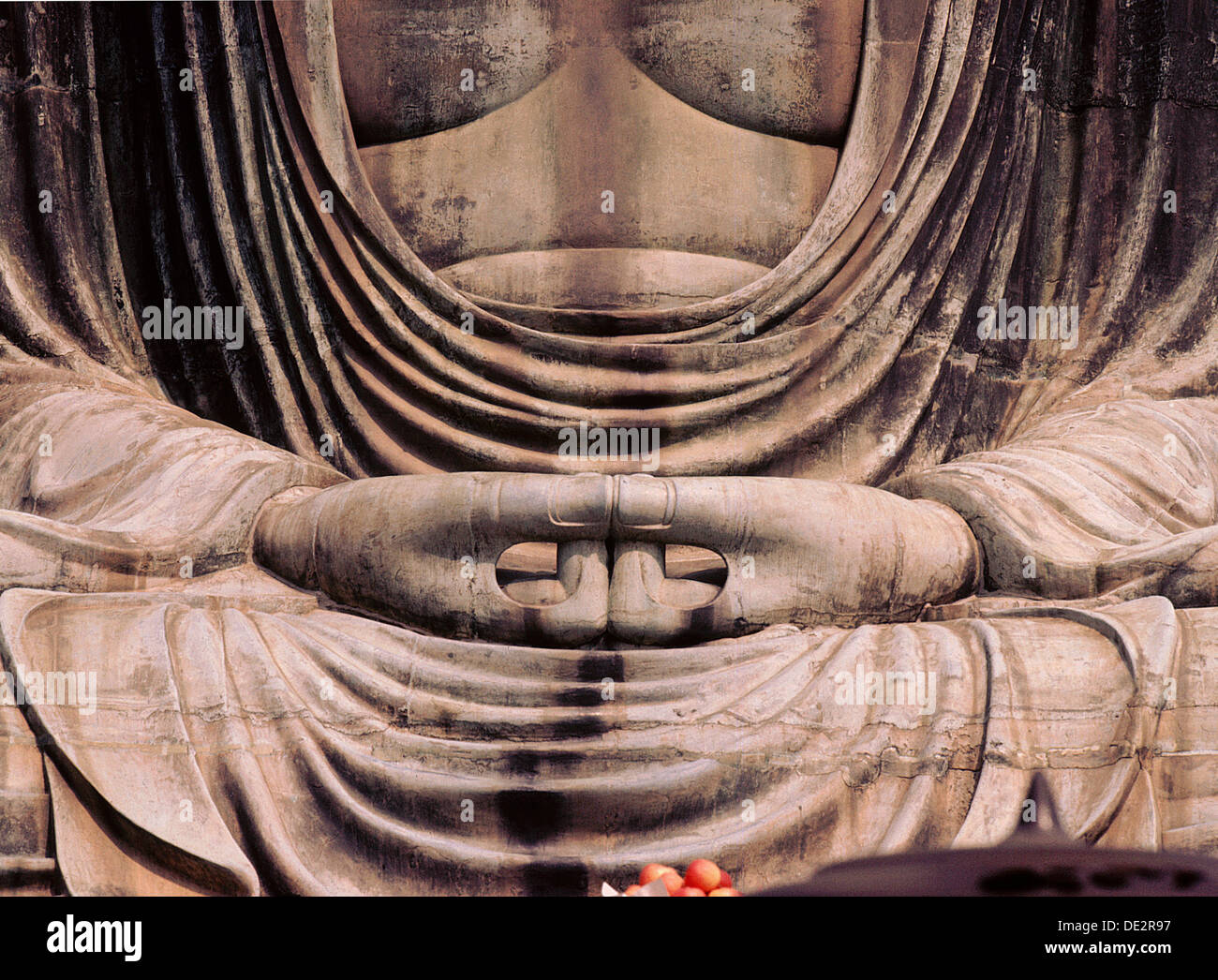 Kotuku High Resolution Stock Photography and Images - Alamy