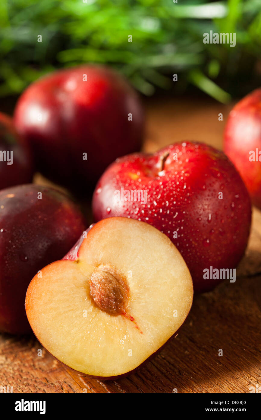 Fresh Organic Black Plums on a Background Stock Photo - Alamy
