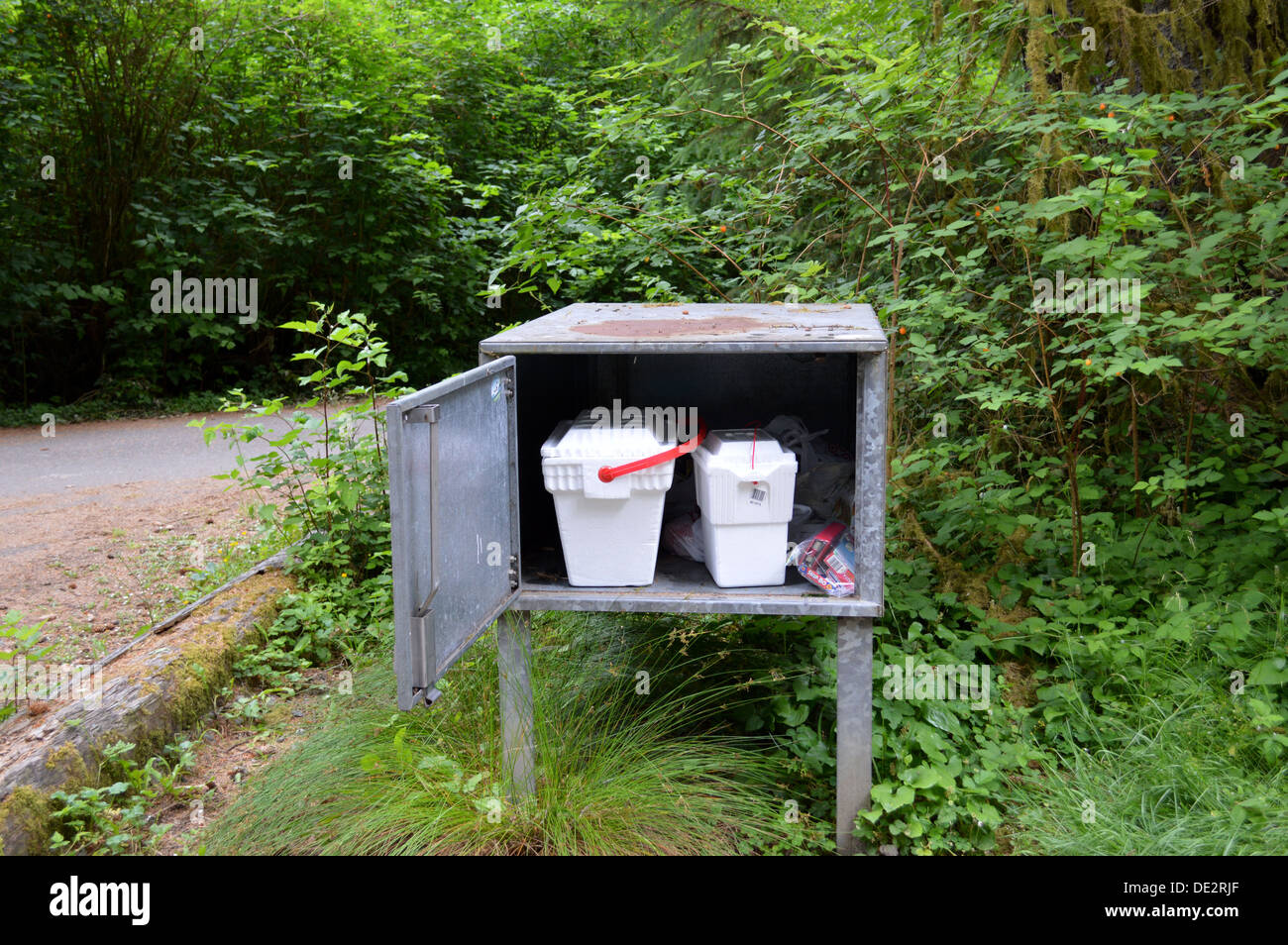 Bear box camping hi-res stock photography and images - Alamy