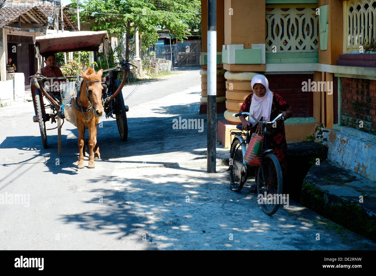 a horse and cart dokar a traditional inexpensive means of transport in ...