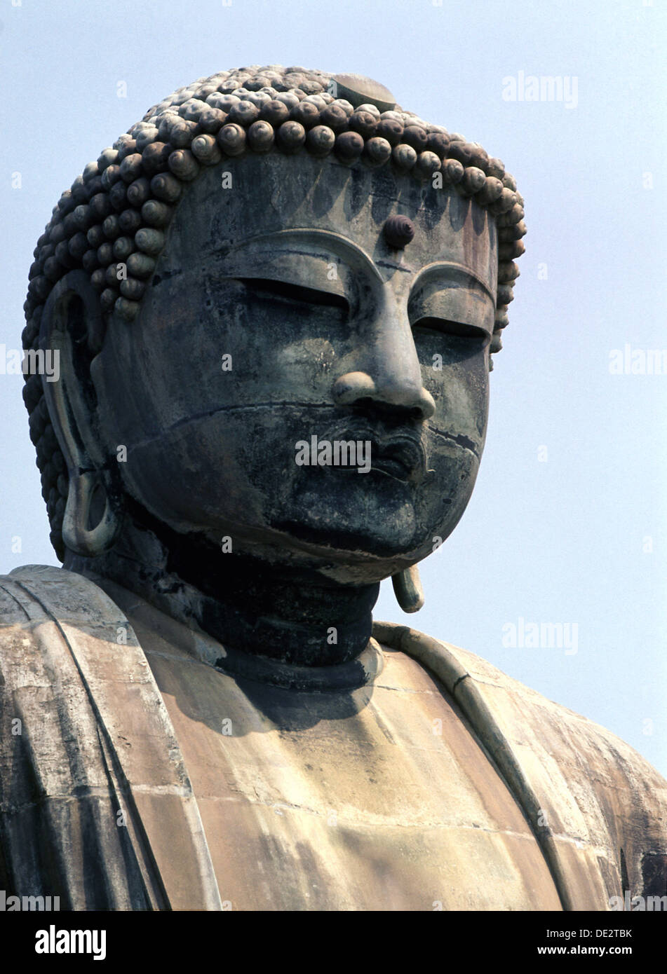 Kotuku High Resolution Stock Photography and Images - Alamy