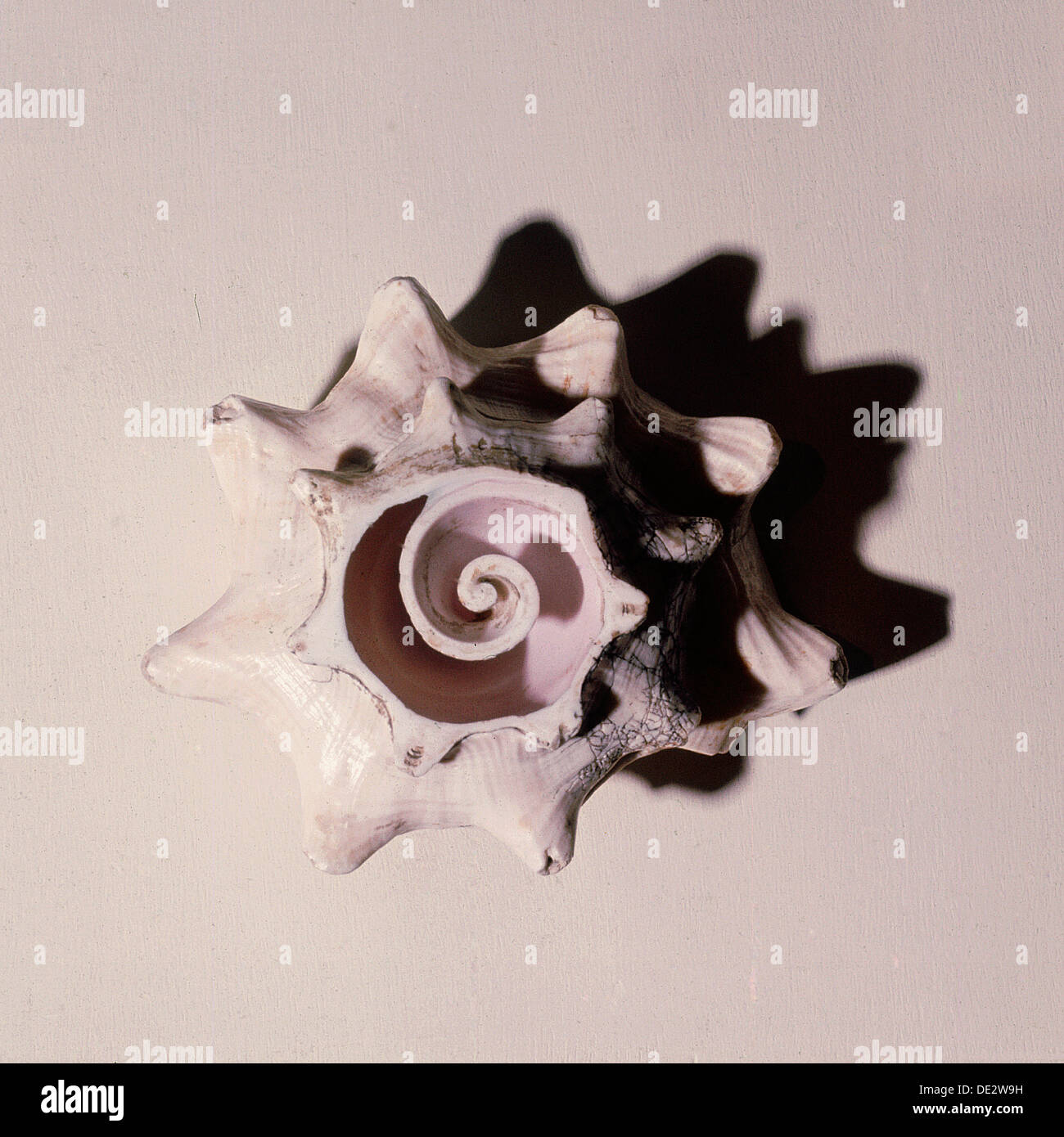 Aztec Symbolism Stock Photos & Aztec Symbolism Stock Images - Alamy