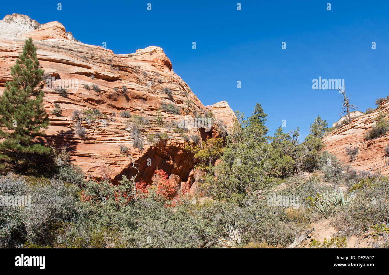 Colorful rock, greenery, Fall colors all are present in this image from ...