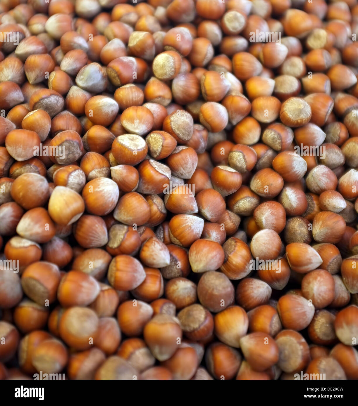 Group of hazelnuts hi-res stock photography and images - Alamy