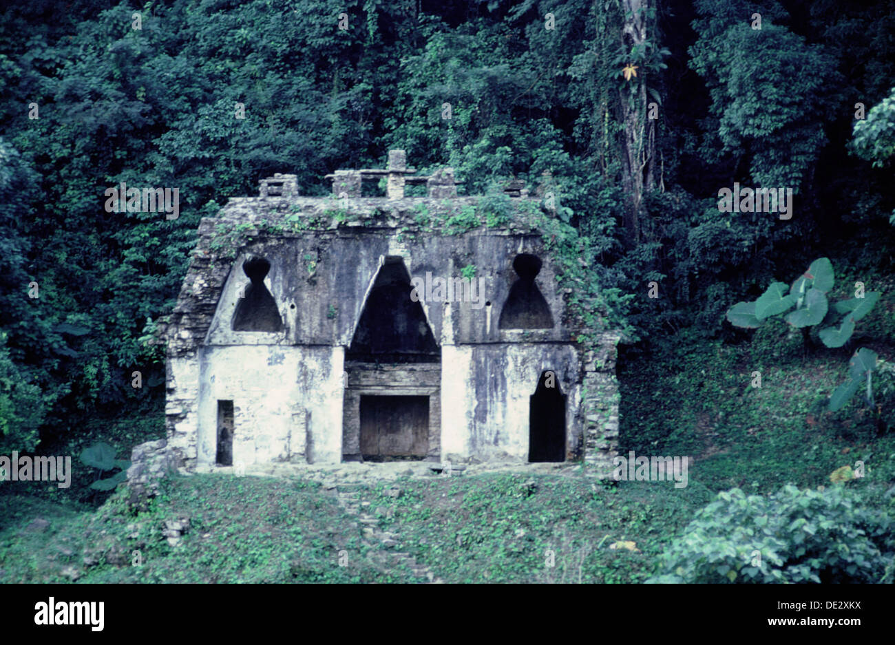 Mexico view of the temple of the cross palenque hi-res stock ...