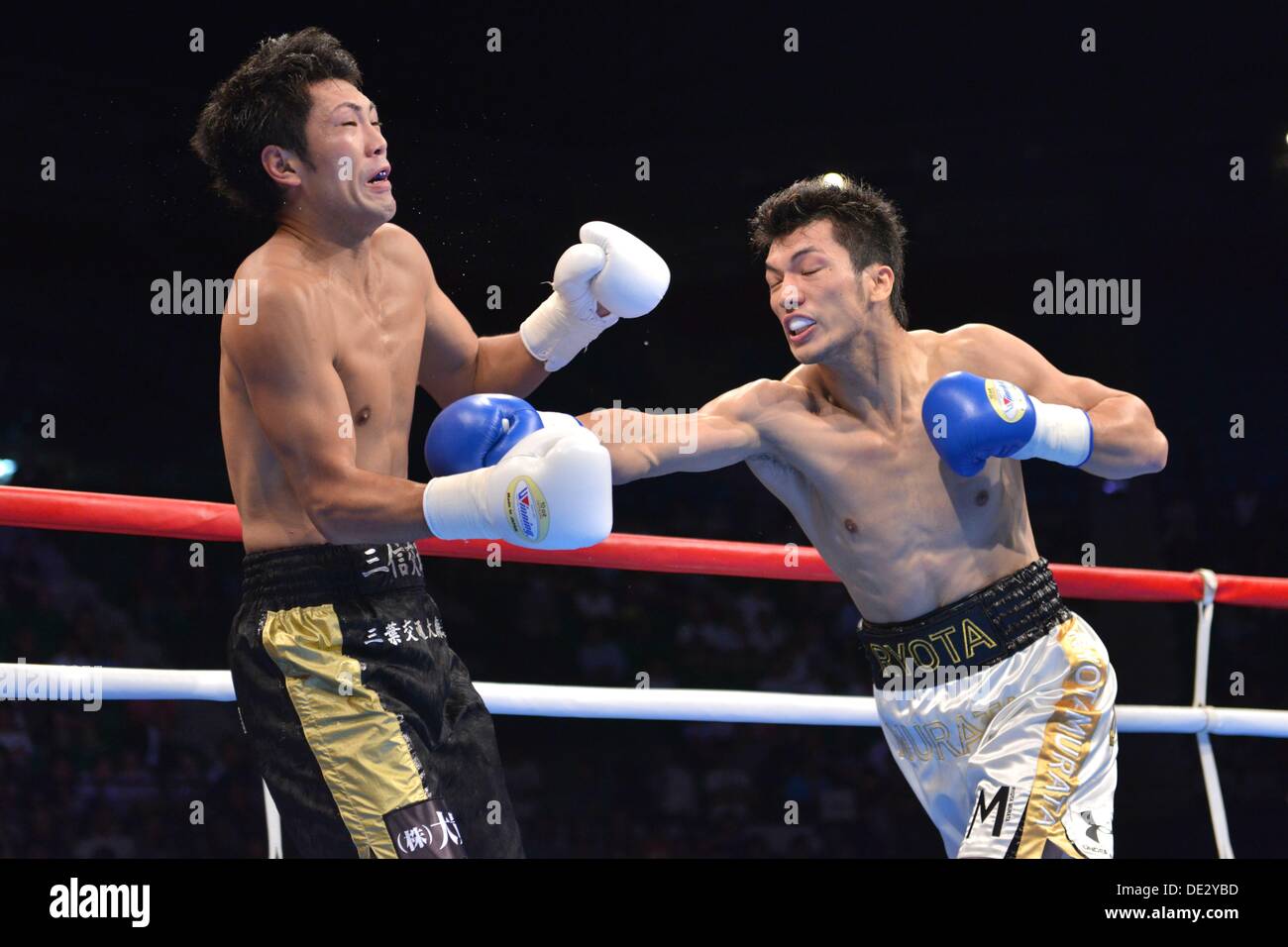 Pro boxing hi-res stock photography and images - Alamy