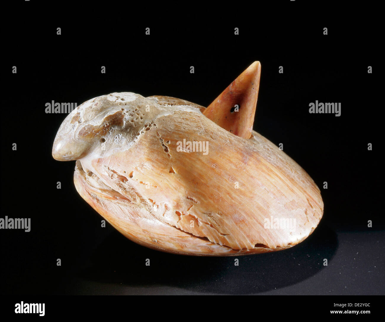 Shell Lime Container High Resolution Stock Photography and Images - Alamy