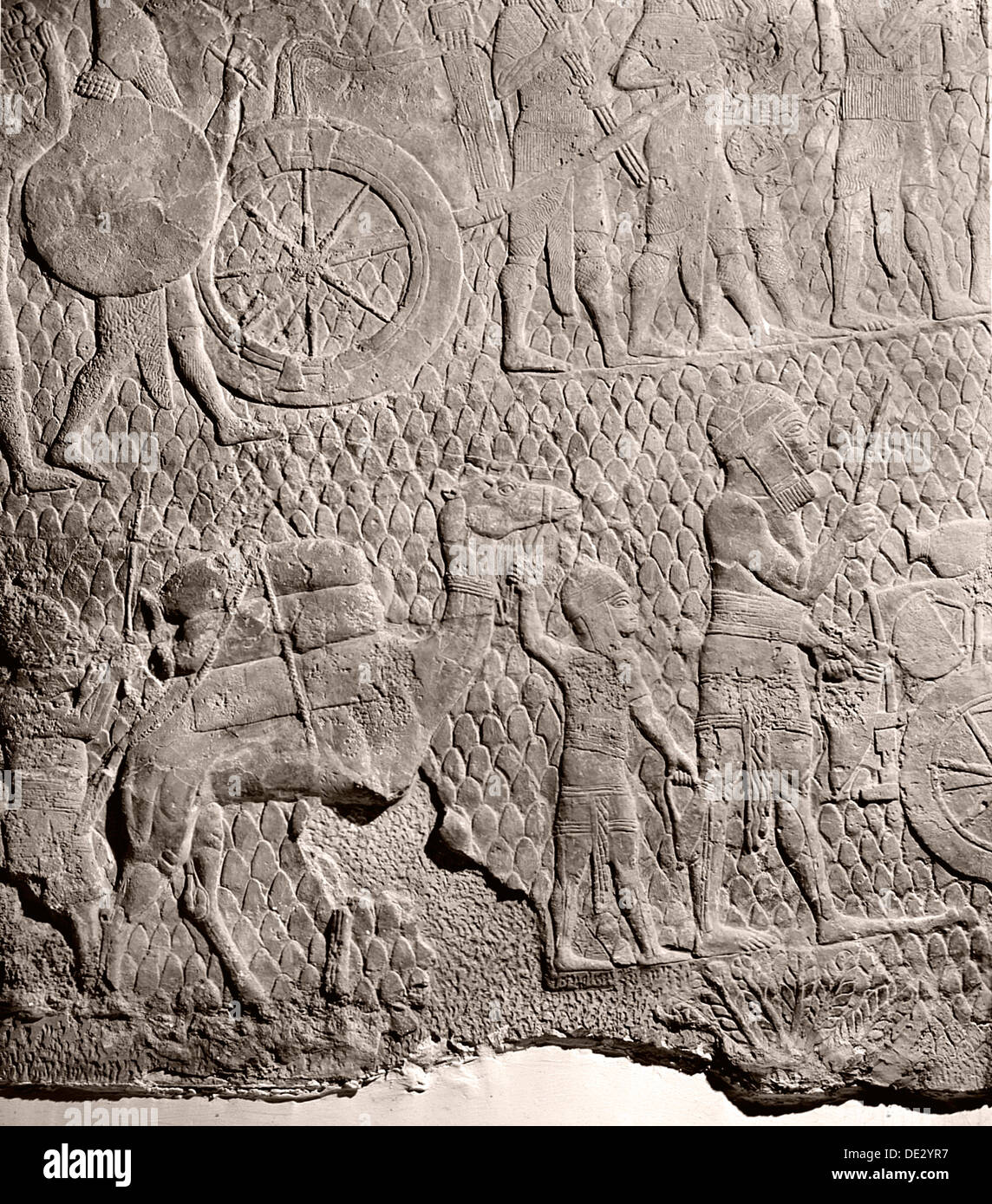 Lachish Relief Stock Photos & Lachish Relief Stock Images - Alamy