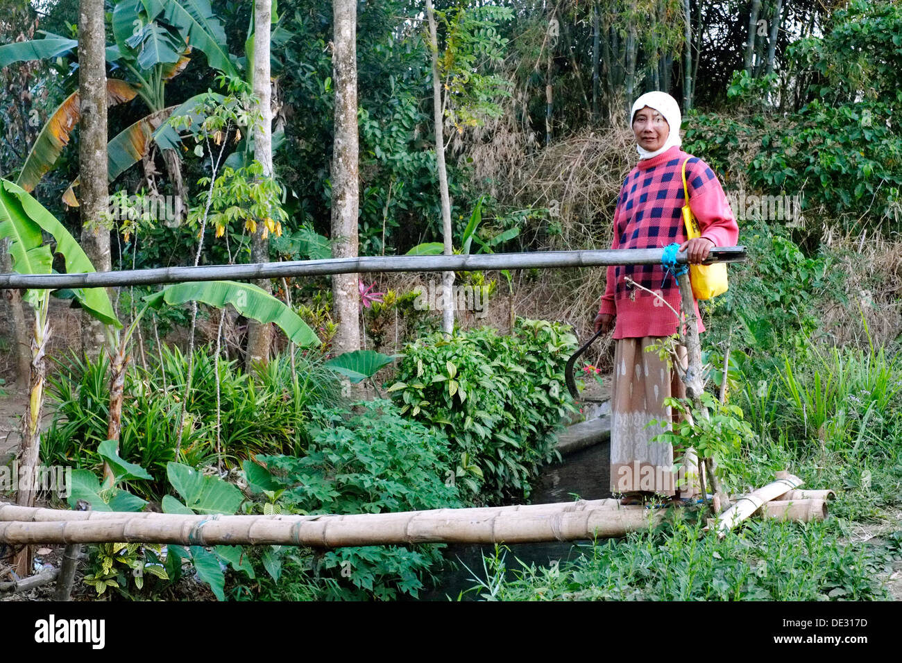 Simple Bamboo Bridge High Resolution Stock Photography and Images - Alamy