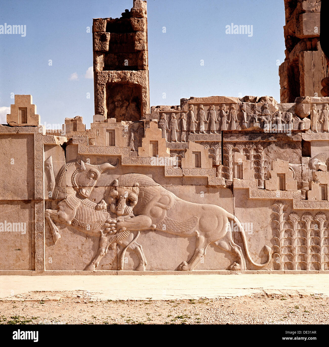 Persepolis relief bull hi-res stock photography and images - Alamy