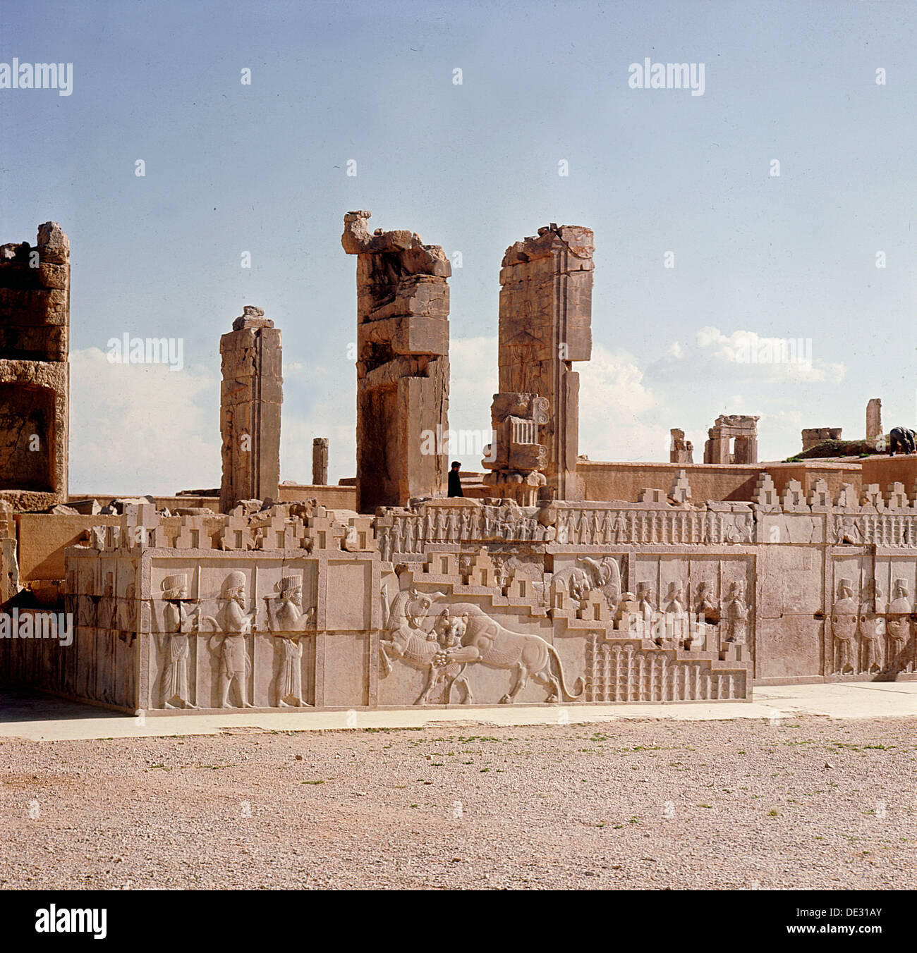 Persepolis relief lion hi-res stock photography and images - Alamy