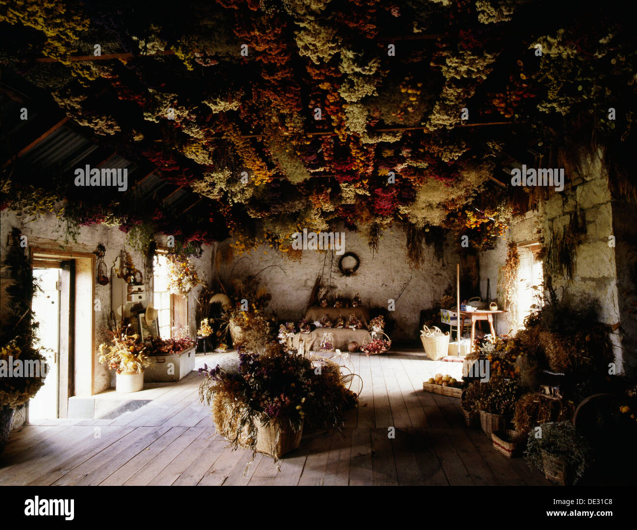 Hang dried flowers hi-res stock photography and images - Alamy