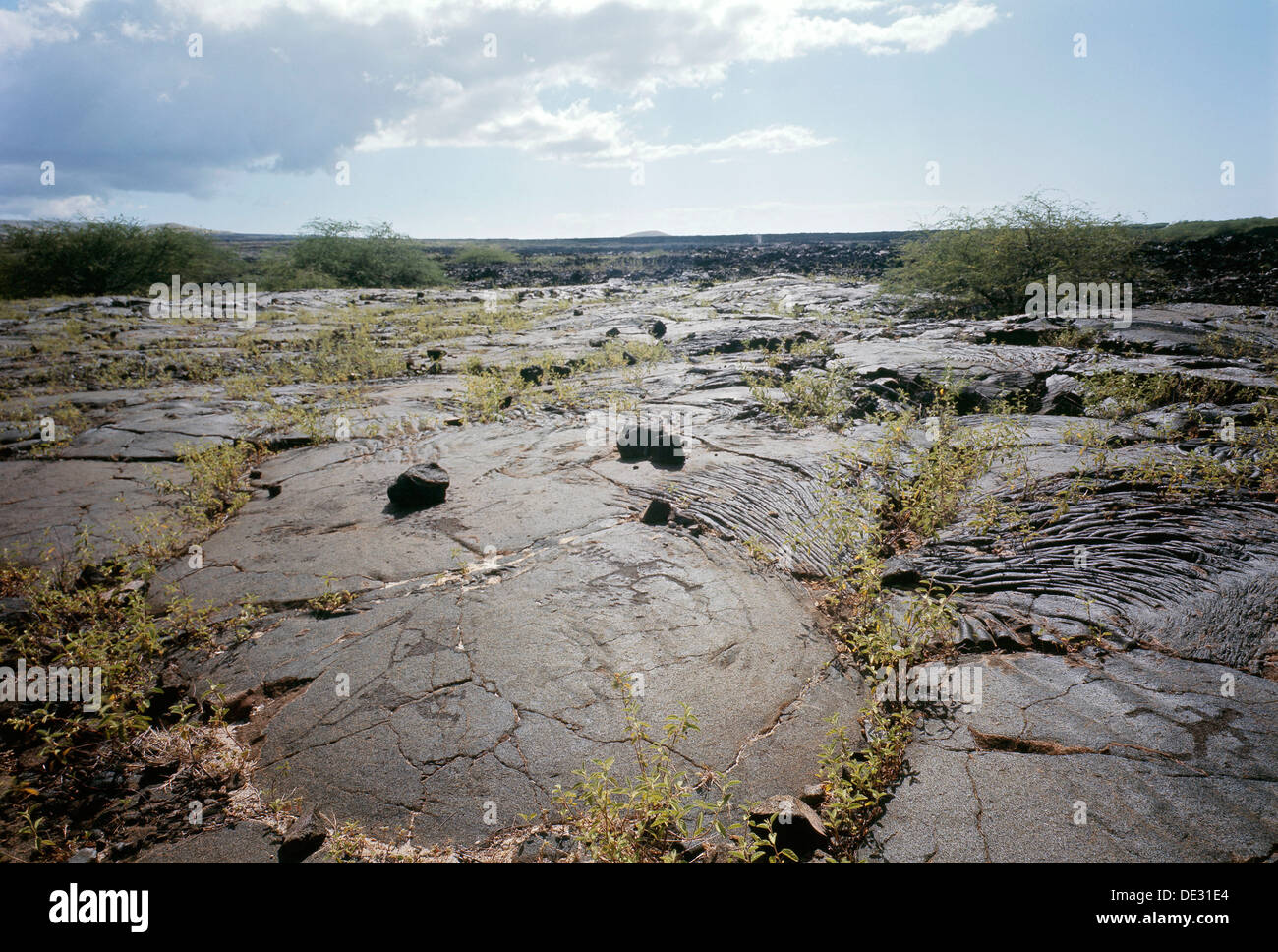 Keahole point hi-res stock photography and images - Alamy
