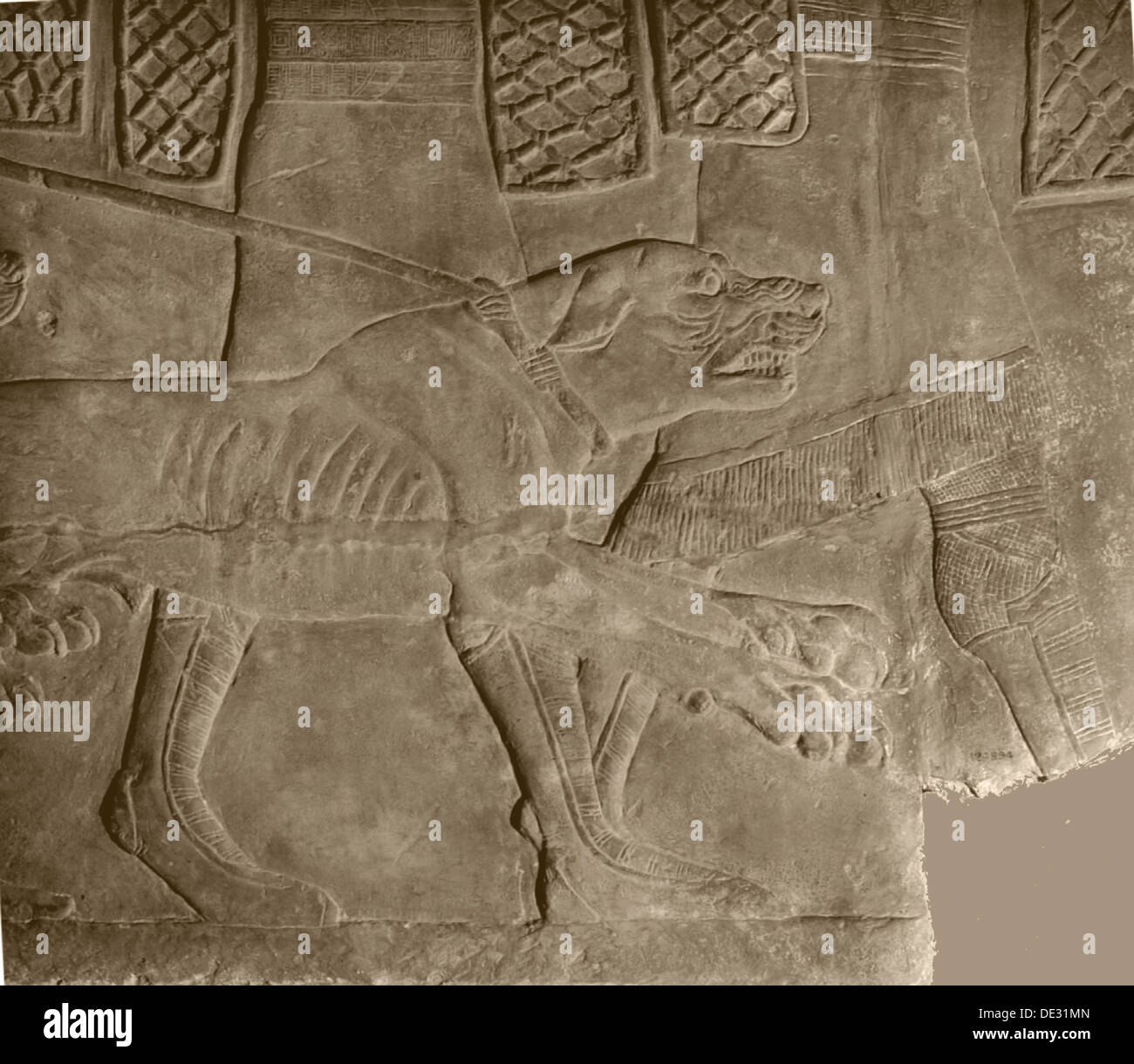 Assurbanipal ashurbanipal hi-res stock photography and images - Alamy