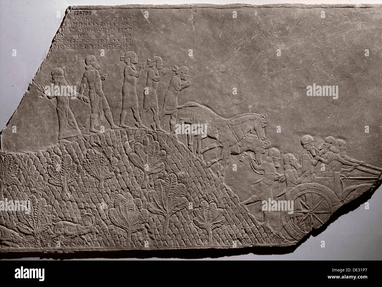 King elam hi-res stock photography and images - Alamy