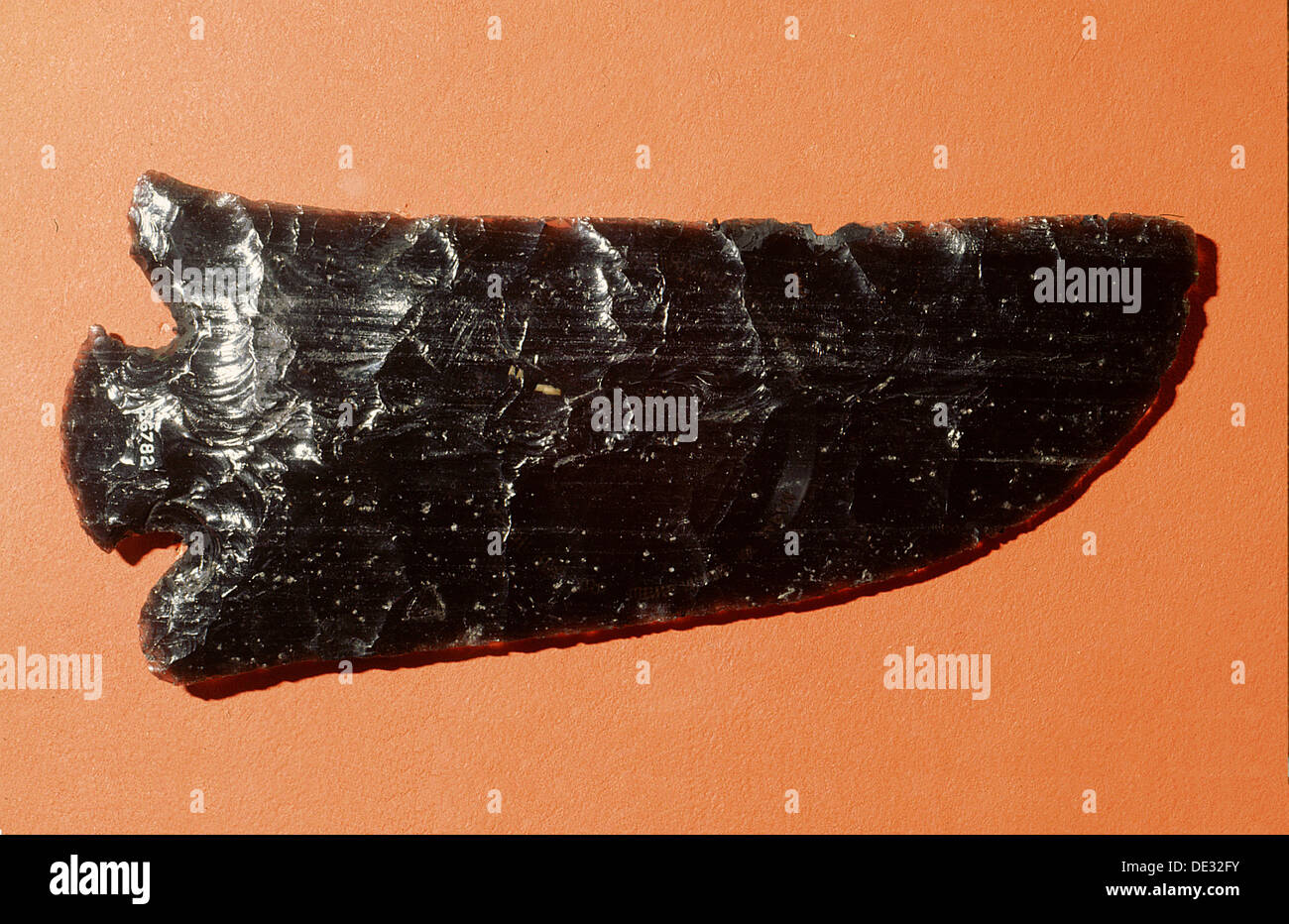 Prehistoric tool america hi-res stock photography and images - Alamy