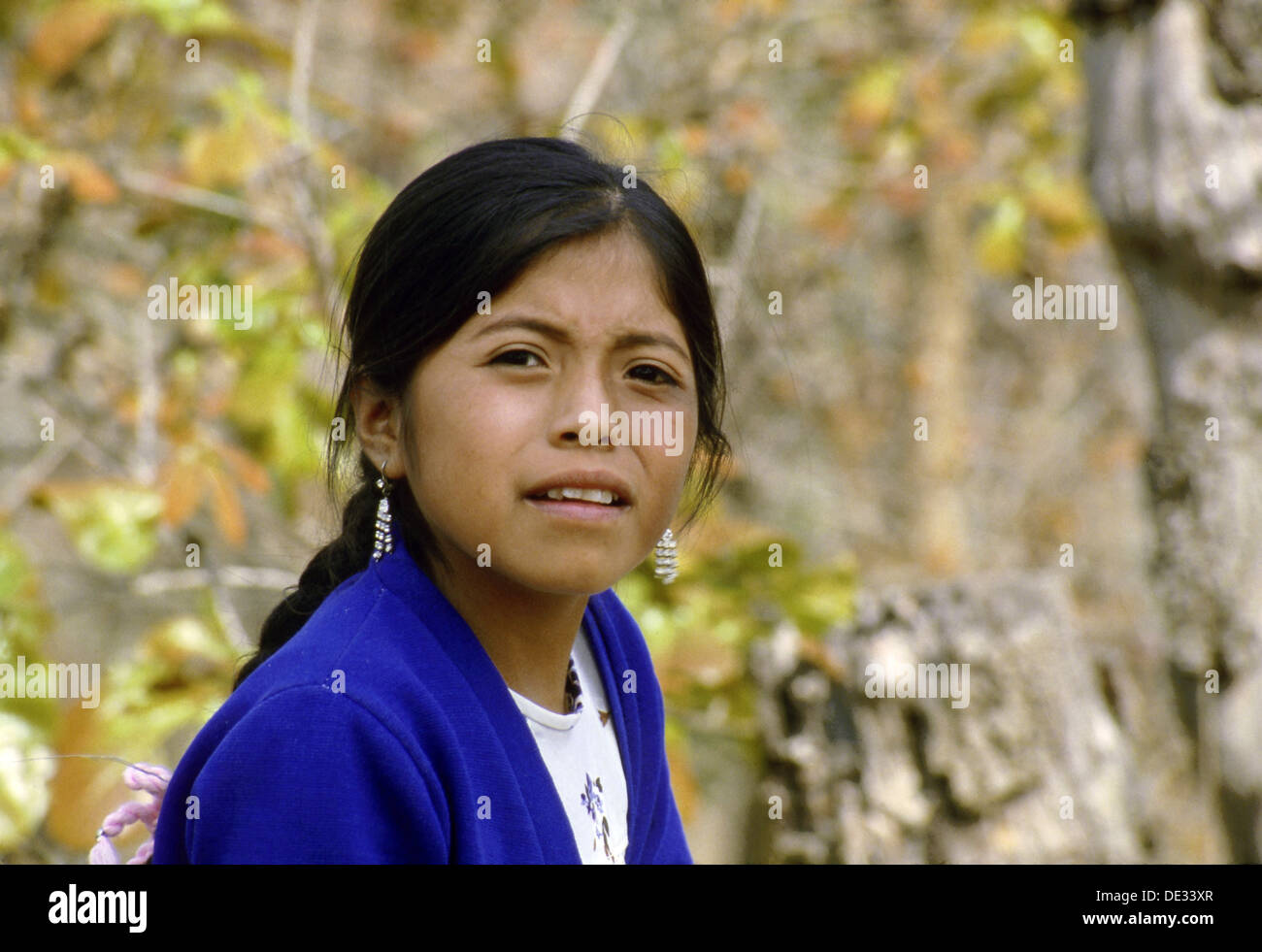 Precolumbian Civilisation High Resolution Stock Photography and Images ...