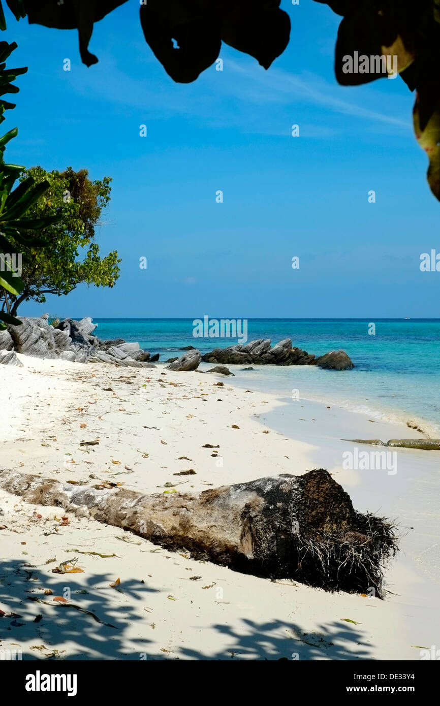 deserted pristine beach and crystal clear waters of karimunjawa island ...